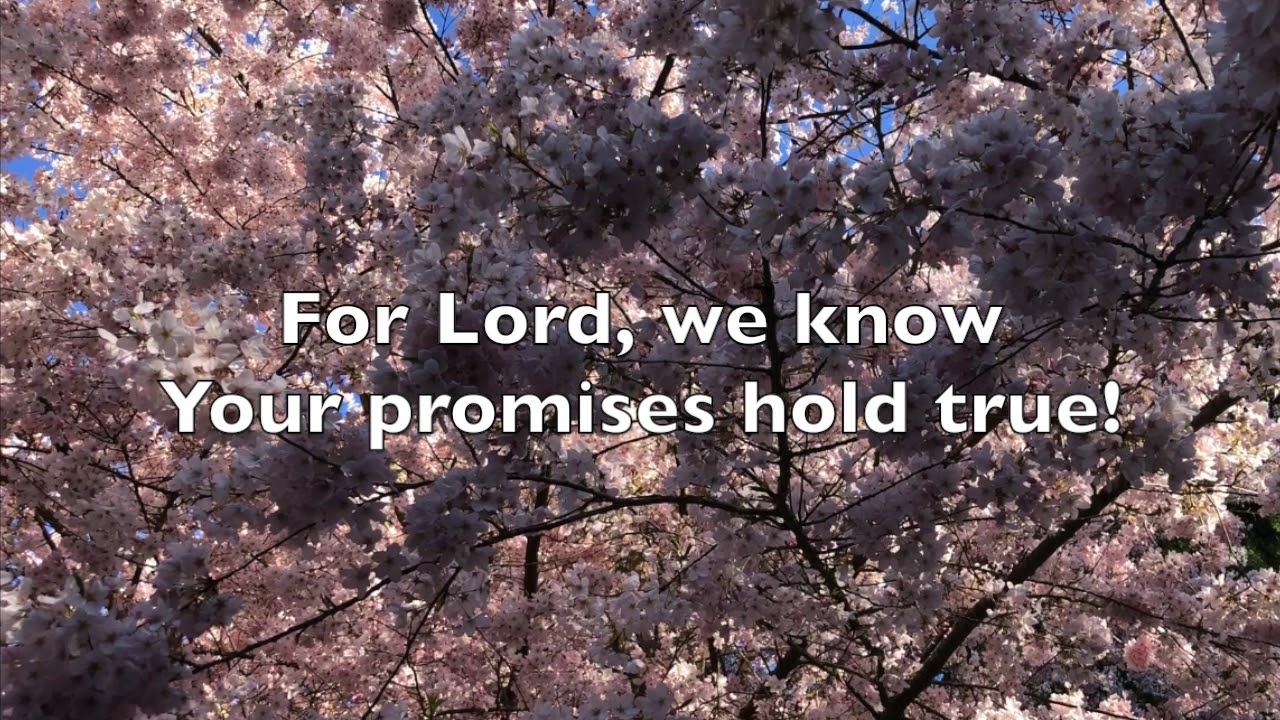 Prayer Response - YouTube