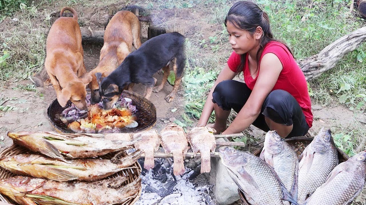 Yummy Fish! Catching fish from river and grilling for survival food ...