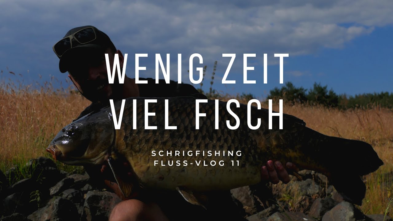 Fluss-Vlog 11 - Wenig Zeit viel Fisch - Schnell Karpfen im Fluss fangen ...