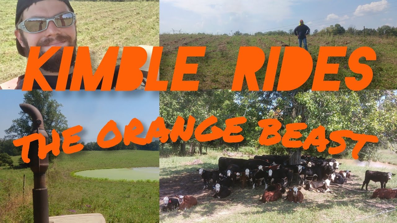 "Kimble Rides The Orange Beast" (AI Song) Official Music Video By ...