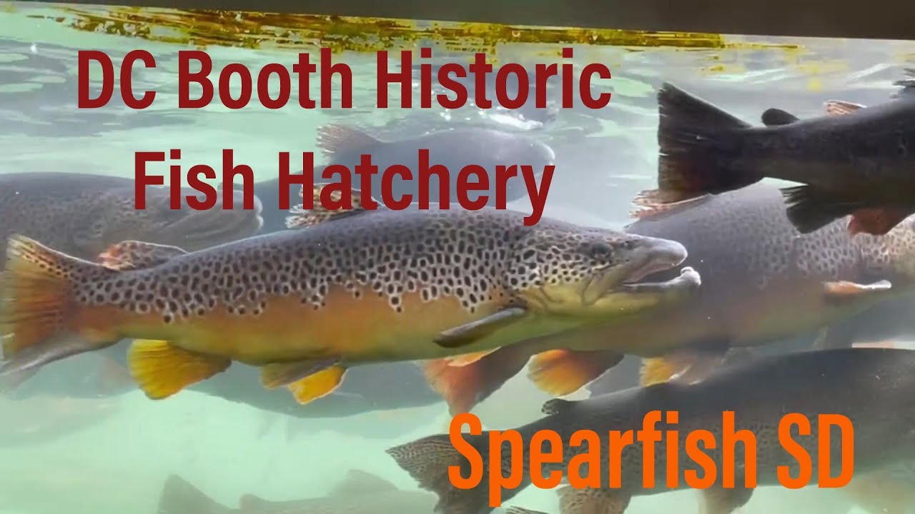DC Booth Historic National Fish Hatchery - YouTube