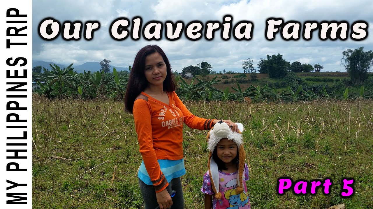 One of Our Farms in Claveria, My Philippines Trip | Part 5 - YouTube