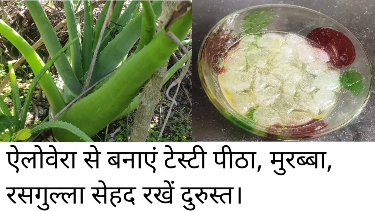 aloe vera#|aloe vera benefits|Aloe vera petha murabba recipe in hindi ...
