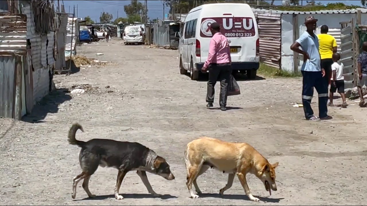 The COUNT im Township Philippi - Patron of Community Kids Pot (Township ...