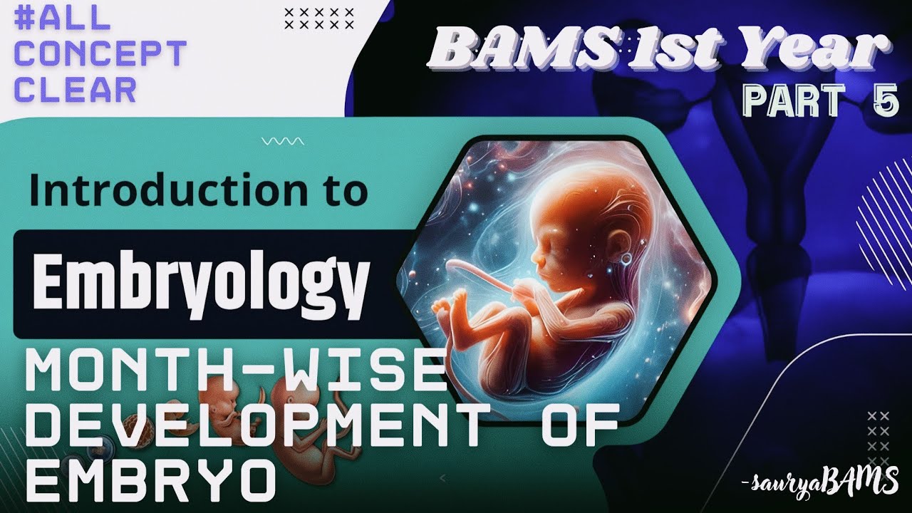 Embryology 👉Month Wise Development Of Embryo, Foetus, BAMS 1st Year ...