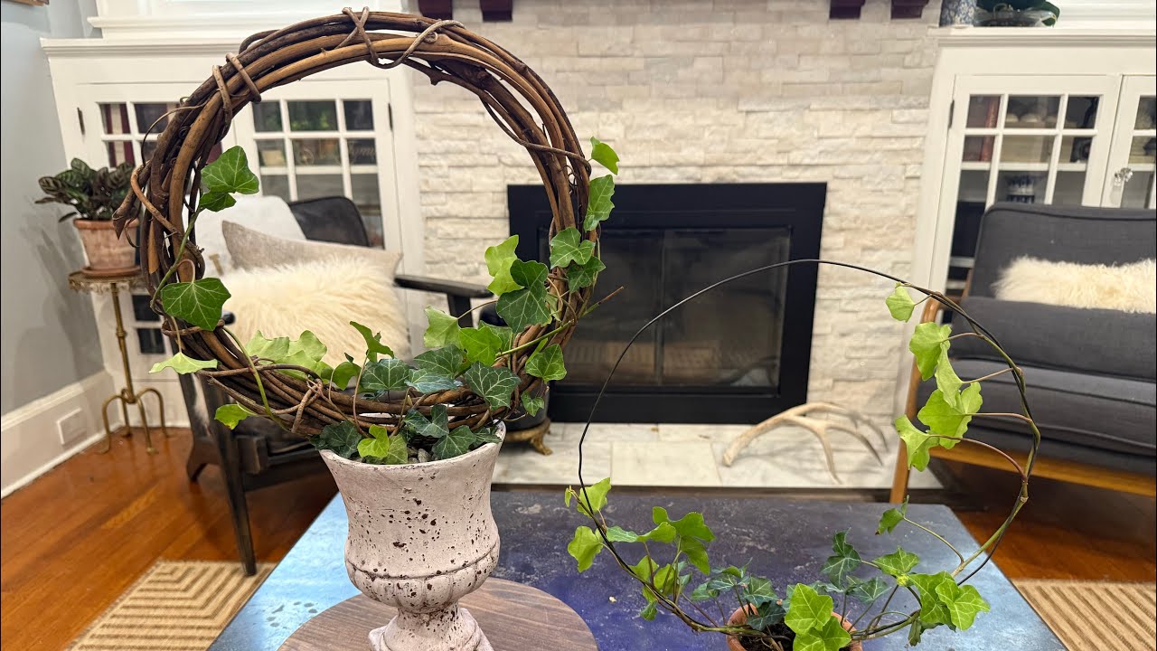 DIY Ivy Topiaries Using a Wire Hanger & Grape Wreath | Easy Garden ...