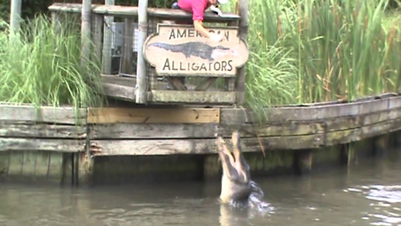 Bango Vacation Myrtle Beach 2015 - YouTube