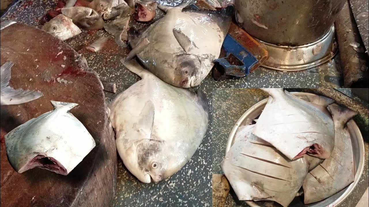 Amazing White pomfret fish cutting skills | fastest fish cutting - YouTube