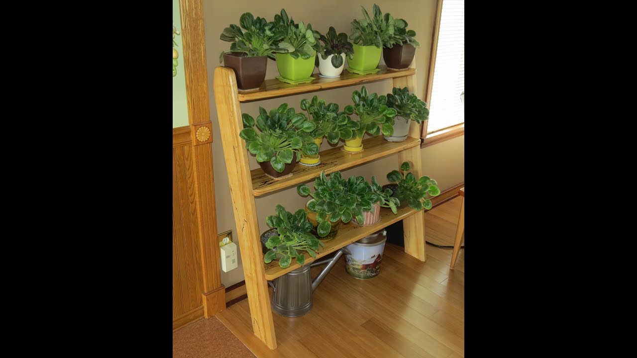 Spalted Maple African Violet Plant Stand - YouTube