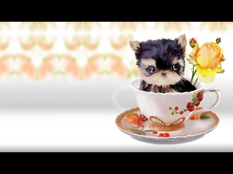 Роза С Днём Рождения
