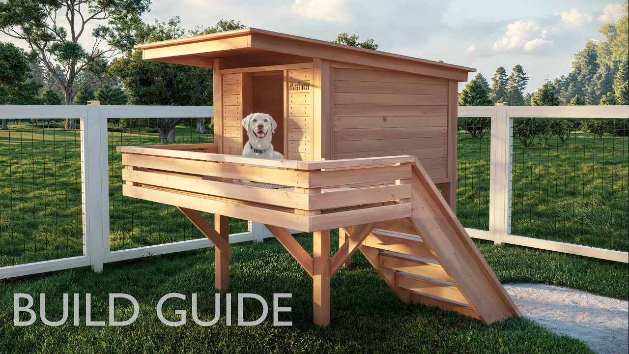 Easy DIY: Elevated Dog House Build Guide for Beginners - YouTube