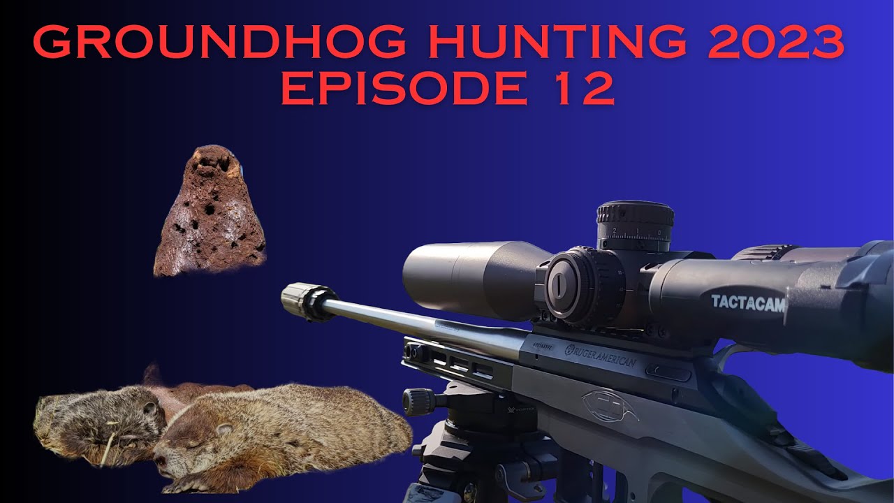 Groundhog Hunting 2023 Advanced Tactics | Eps 11 - YouTube