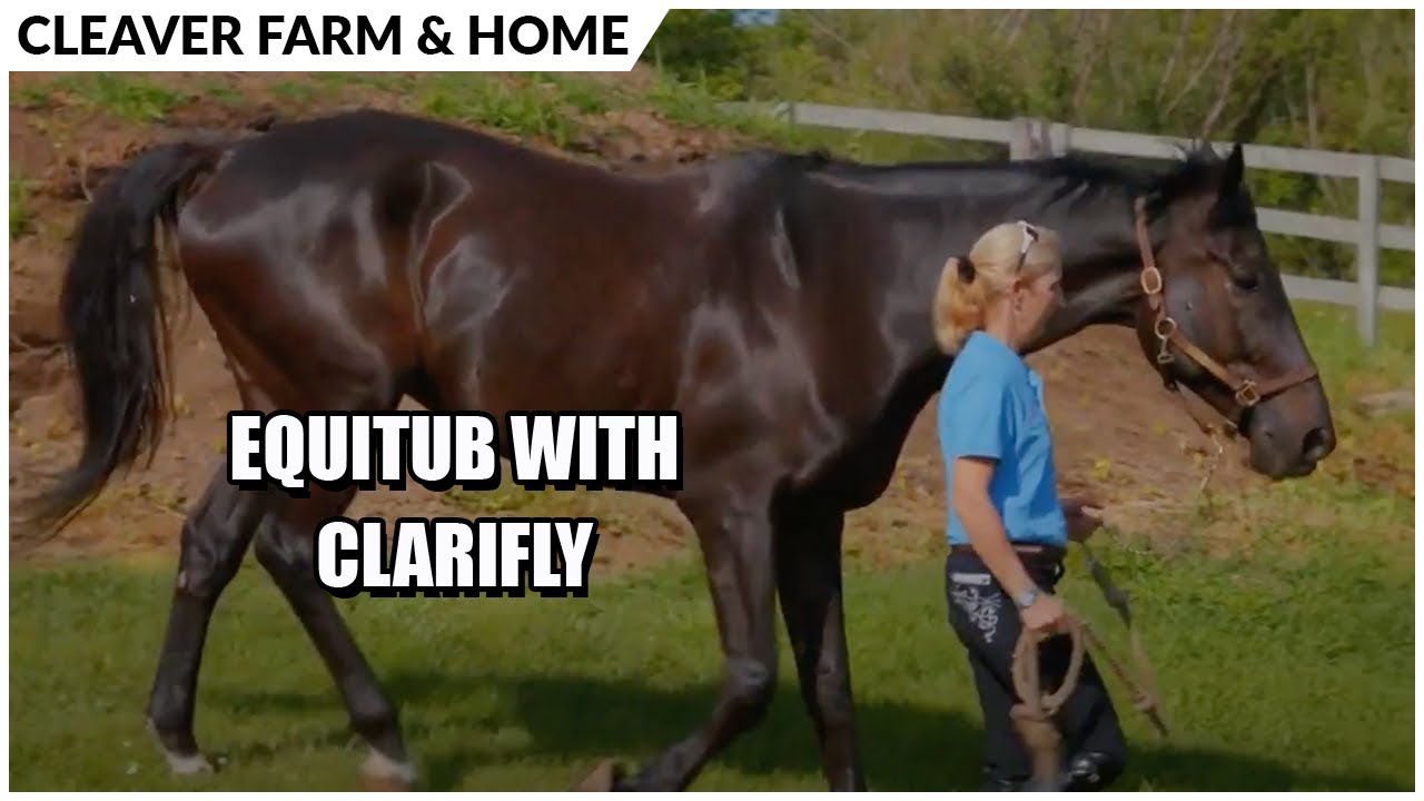 Purina EquiTub Horse Supplement with Fly Control | Cleaver Farm & Home ...