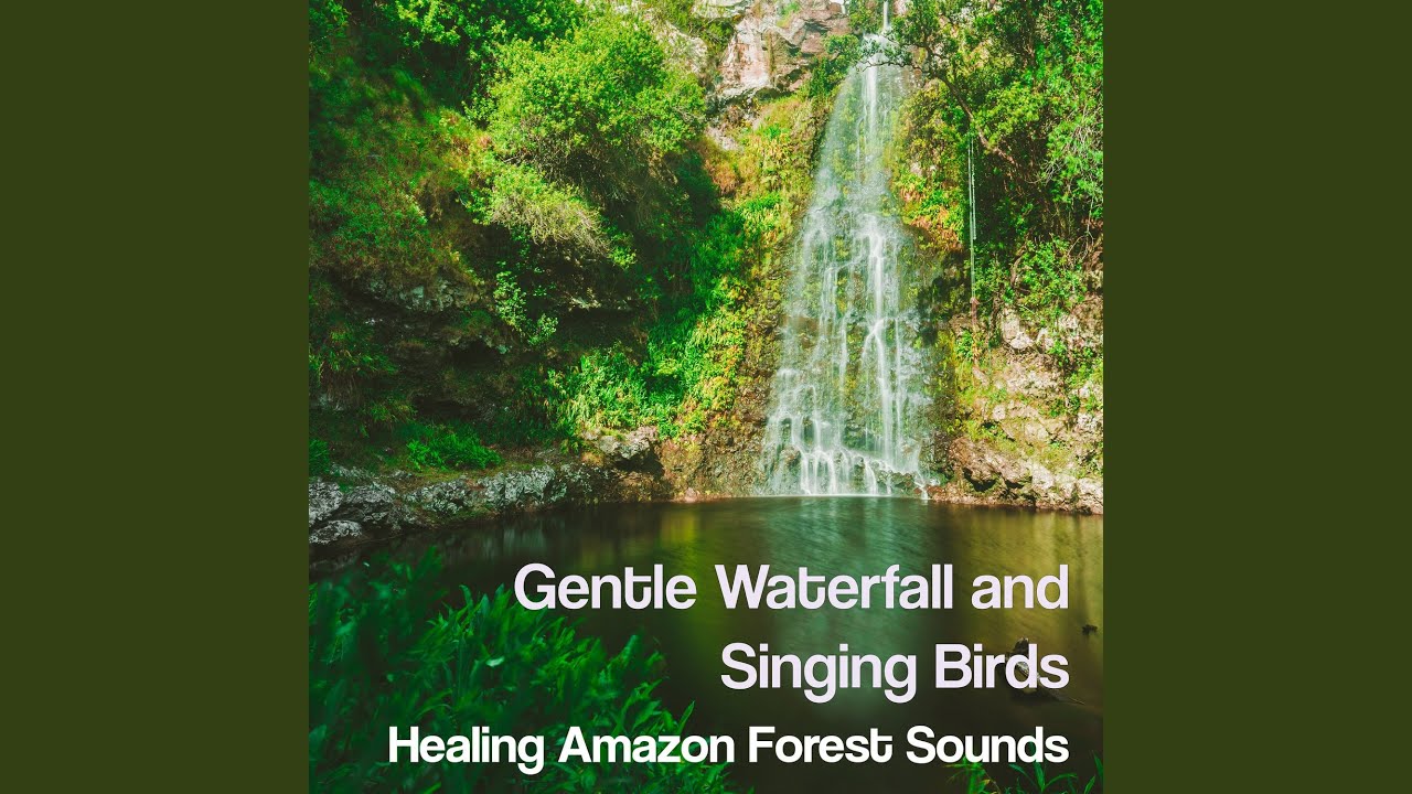 Birds Chirping in a Woodland - YouTube