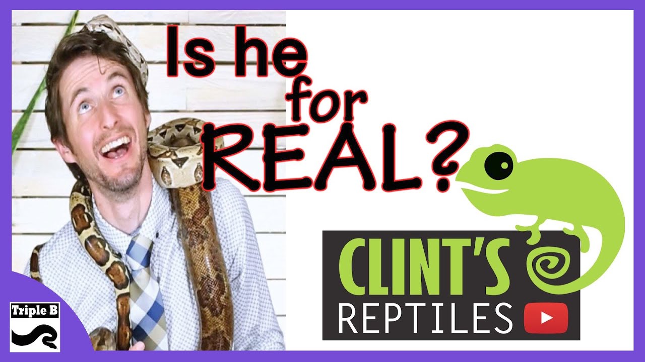 Is Clint's Reptiles for Real? - Triple B TV Ep.208 - YouTube