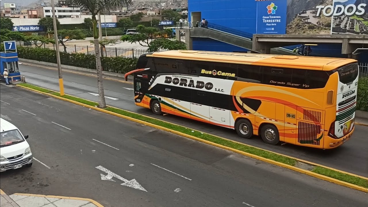 BUSES DEL PERÚ - YouTube