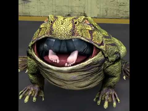 vorezoe the giant frog