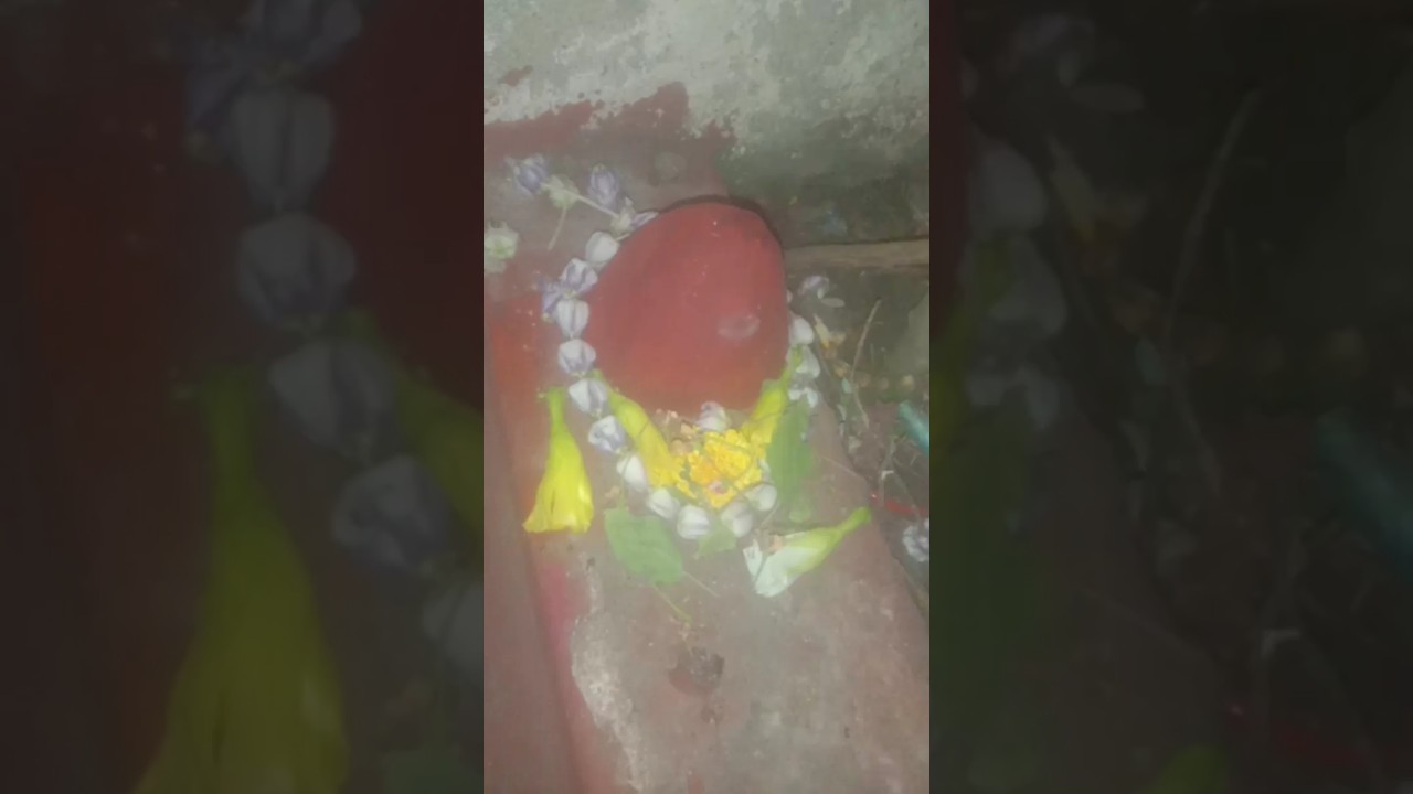 ওমঃ নমঃ শিবায় আজ নিল পুজো হল ভৈরব বাবার কাছে # shiv # shorts BY ...