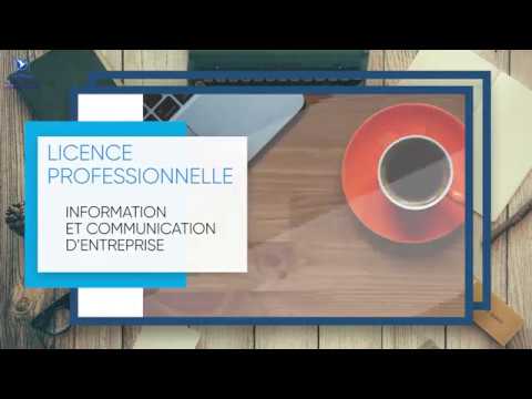 LICENCE PROFESSIONNELLE : INFORMATION ET COMMUNICATION D’ENTREPRISE