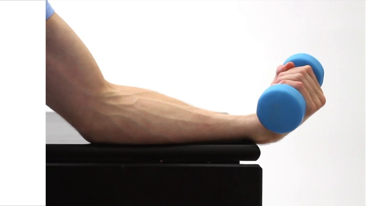 Wrist Curls (dumbbell, table) - YouTube