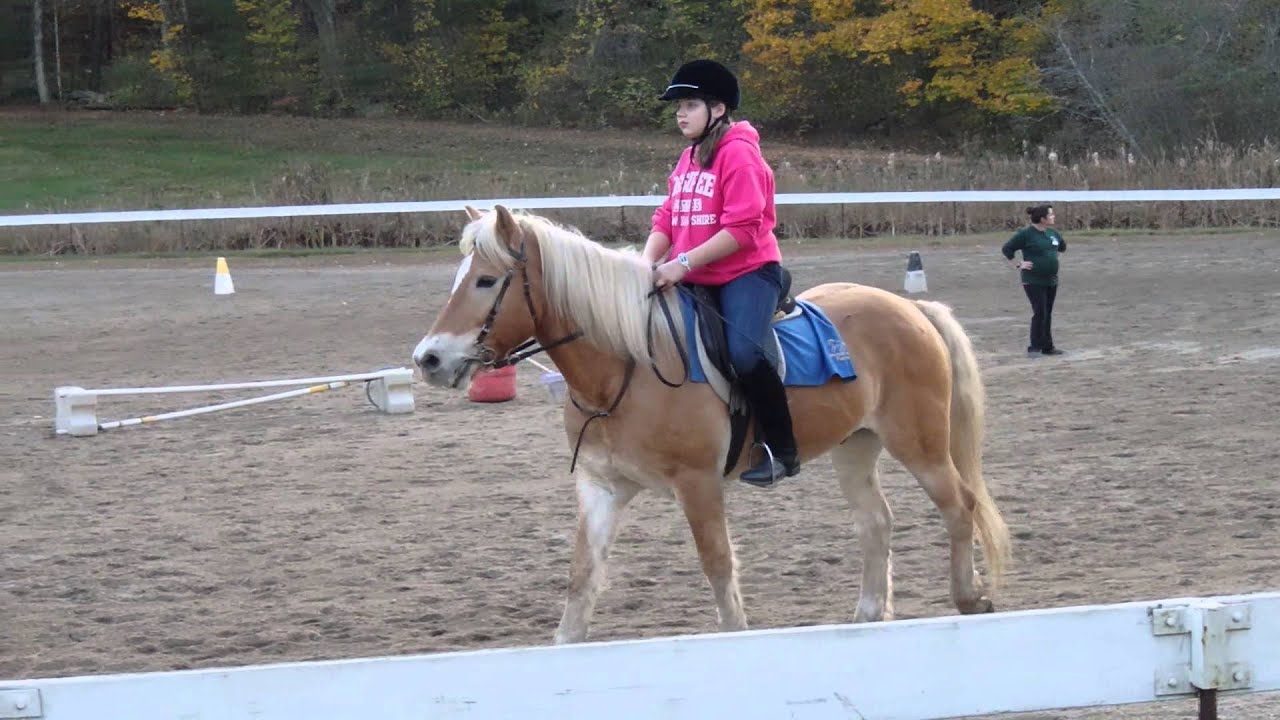 3 - KATELYN'S RIDING LESSONS - OCTOBER 21, 2013 - Ironstone Farm ...