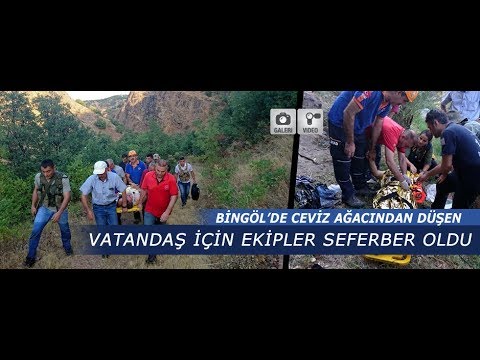 Bingöl’de Ceviz Ağacından Düşen Vatandaş İçin Ekipler Seferber Oldu