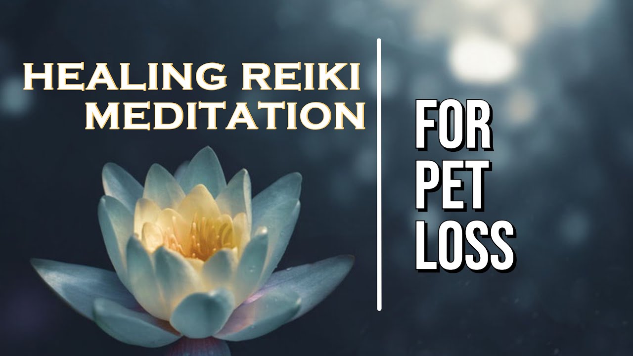 Healing Reiki Meditation for Pet Loss and Grief | Help for grieving ...