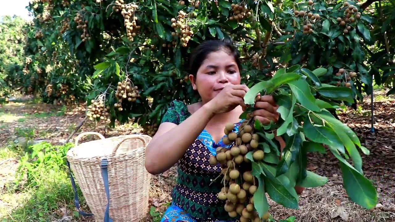 Primitive In forest one - Lemons and lemons - Eating Fruit delicious ...
