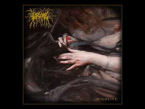 LASCAR - The Majestic Decay (New Track 2018)