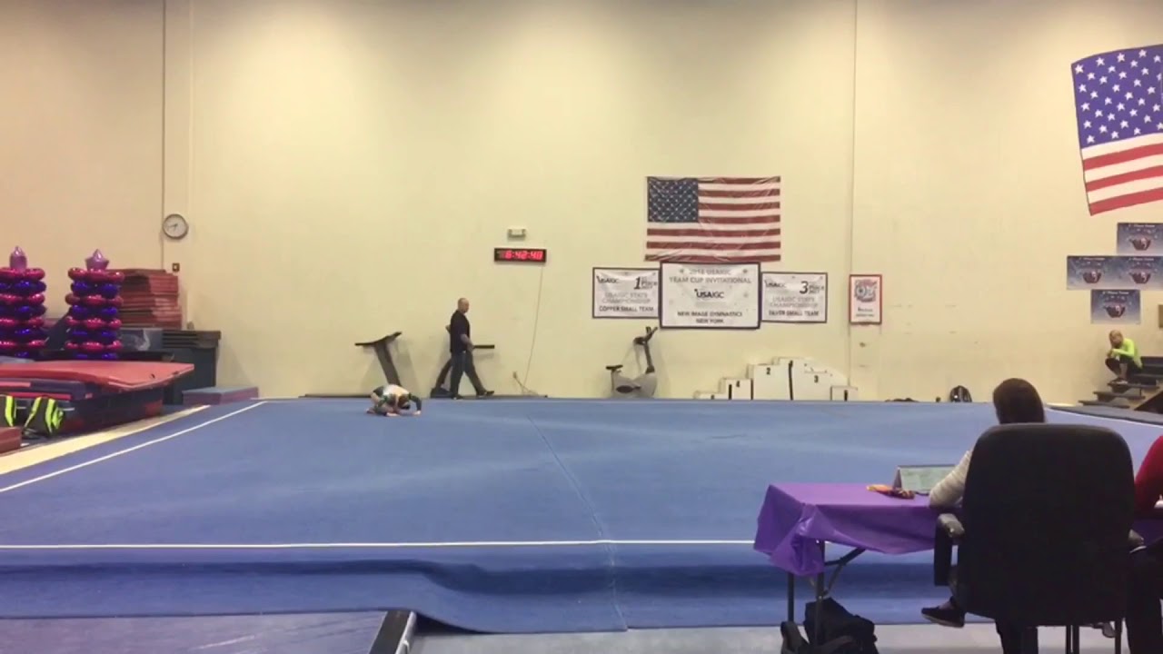 November 17, 2017 | Balloon Classic New Image Gymnastics | All events ...