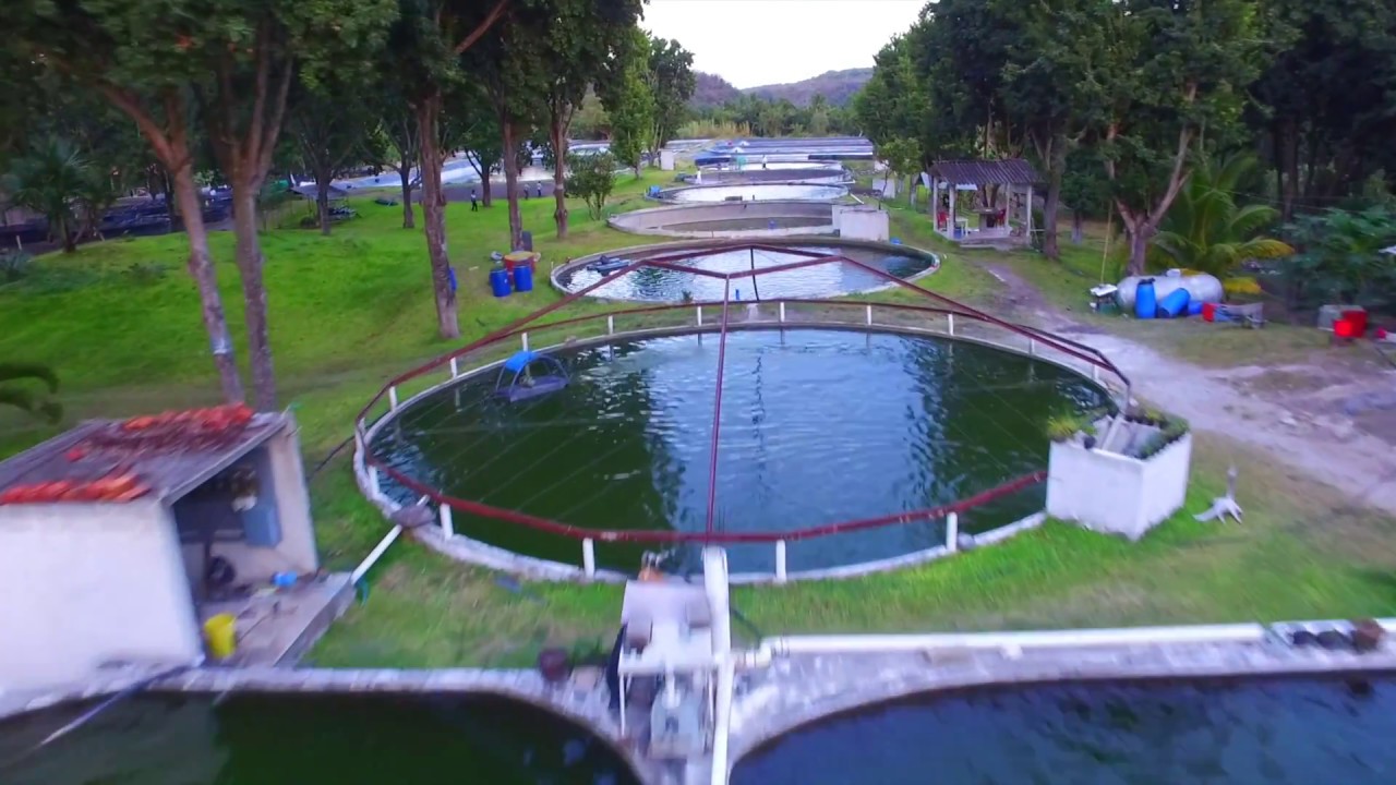 El Fuerte 1847 Plan del Río,Ver. | Drone - YouTube