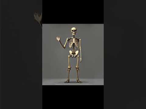 Dancing Skeleton anatomy 💀#shorts#viral#funny#3DAnimation #ASMRScience#Anatomy #WeirdBodyFacts