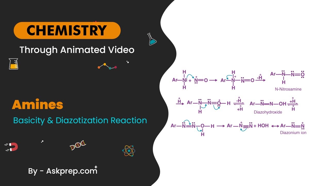 Amines Basicity & Diazotization Reaction Explained | Class 12 Chemistry ...