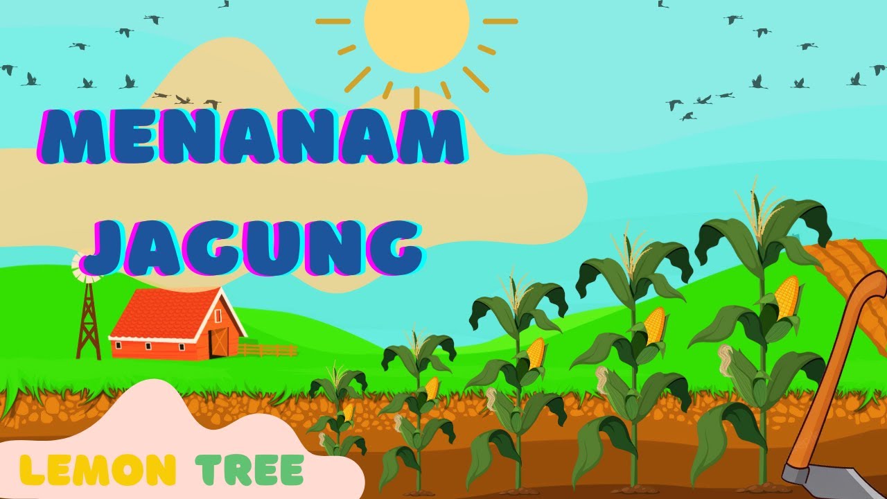 MENANAM JAGUNG | LAGU ANAK-ANAK INDONESIA | #COVER BY LEMON TREE #SONG ...
