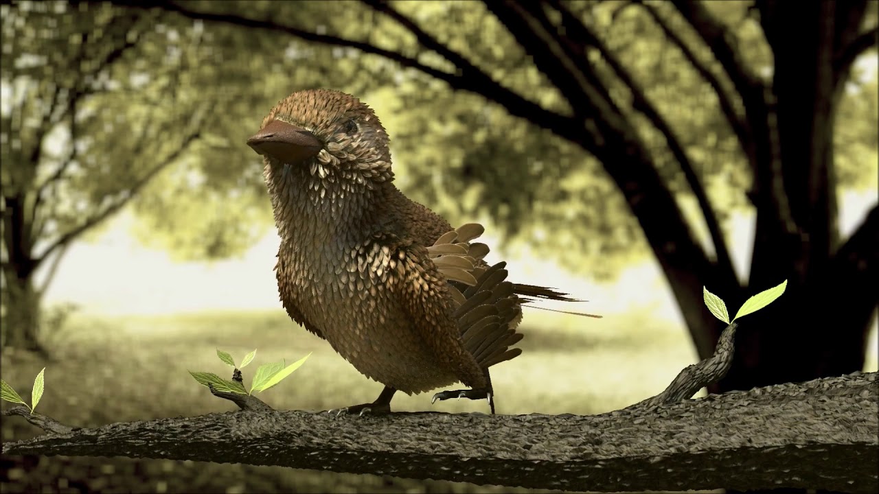 Sparrow - Blender Animation - YouTube