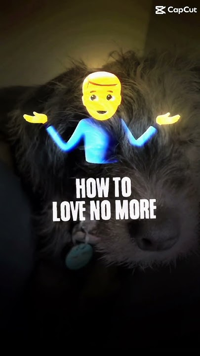 Do You Love Me Or Not Youtube