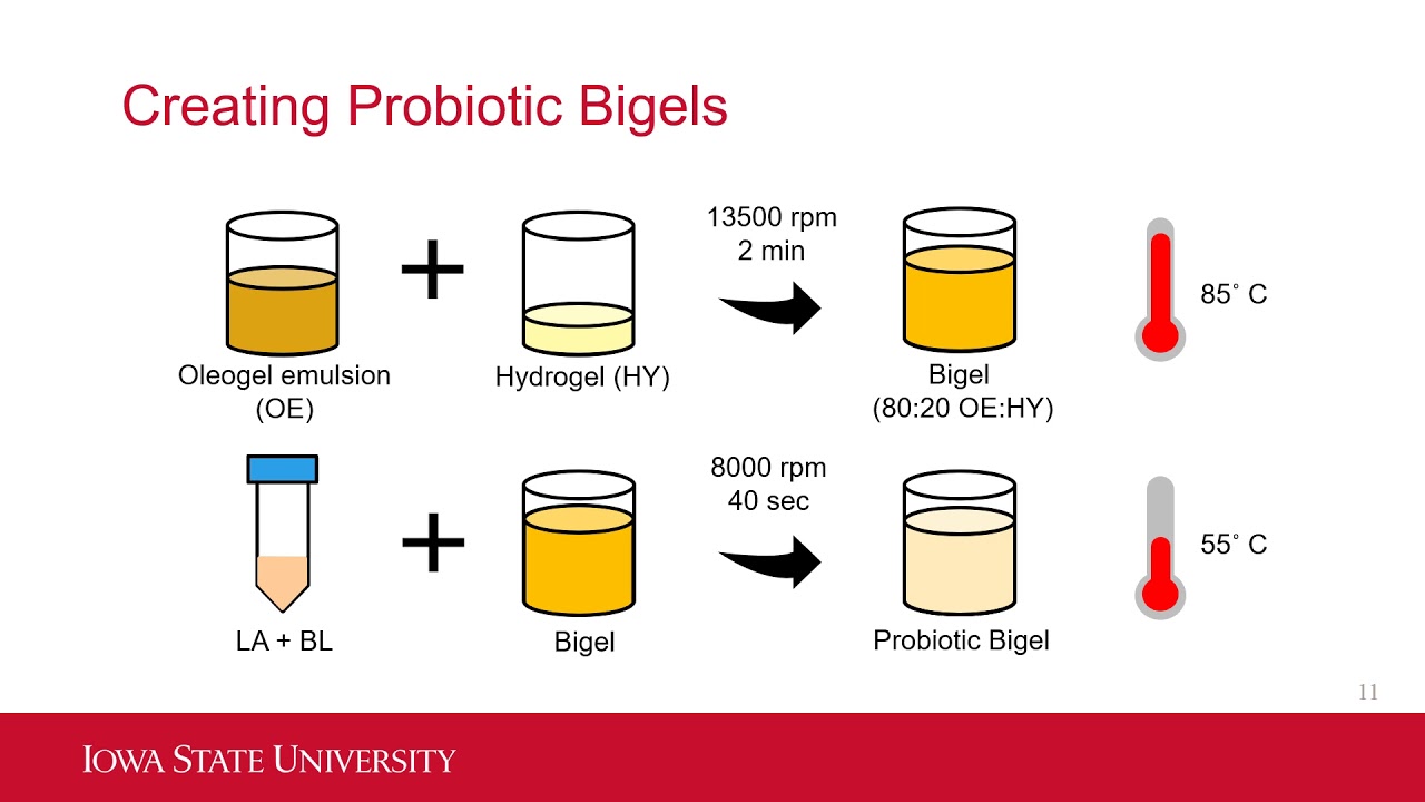 Incorporation of Bigels into Yogurt to Improve Probiotics Survival ...