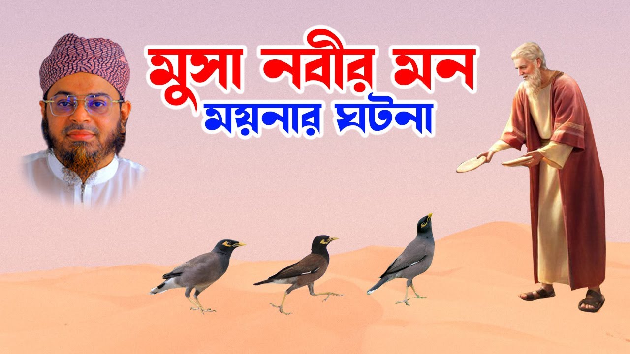 Nasir Uddin Ansari । মুফতি নাসির উদ্দিন আনসারী musa move mon moyna ...