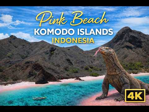 Pink Beach Komodo, Indonesia | Chill 4K Drone Views of Paradise