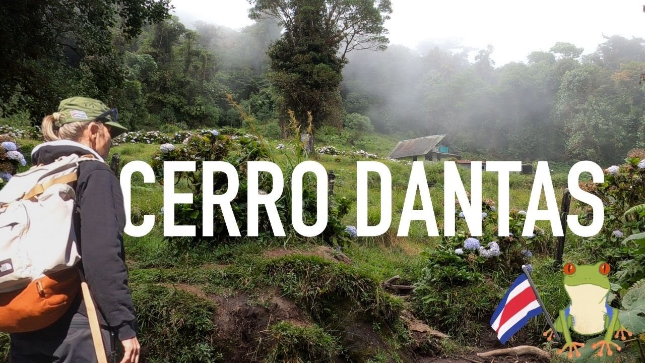 CERRO DANTAS | Exploring WILD & REMOTE JUNGLES of Costa Rica - YouTube