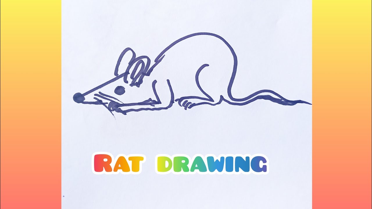 How to Draw a Rat - Year of The Rat | How to Draw a Rat Easy | how to ...