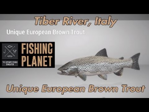 Unique European Brown Trout - Tiber River Italy - Fishing Planet Guide ...
