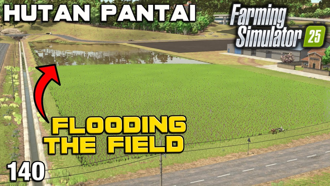 FLOODING OUR LARGE RICE FIELD FOR THE FIRST TIME Hutan Pantai FS25 Ep ...
