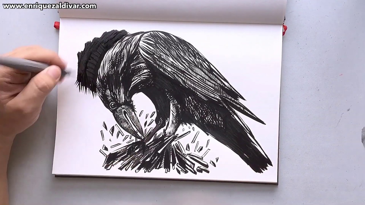 Brush pen and Ink: Drawing a crow - Sketchbook art - Enrique Zaldivar ...