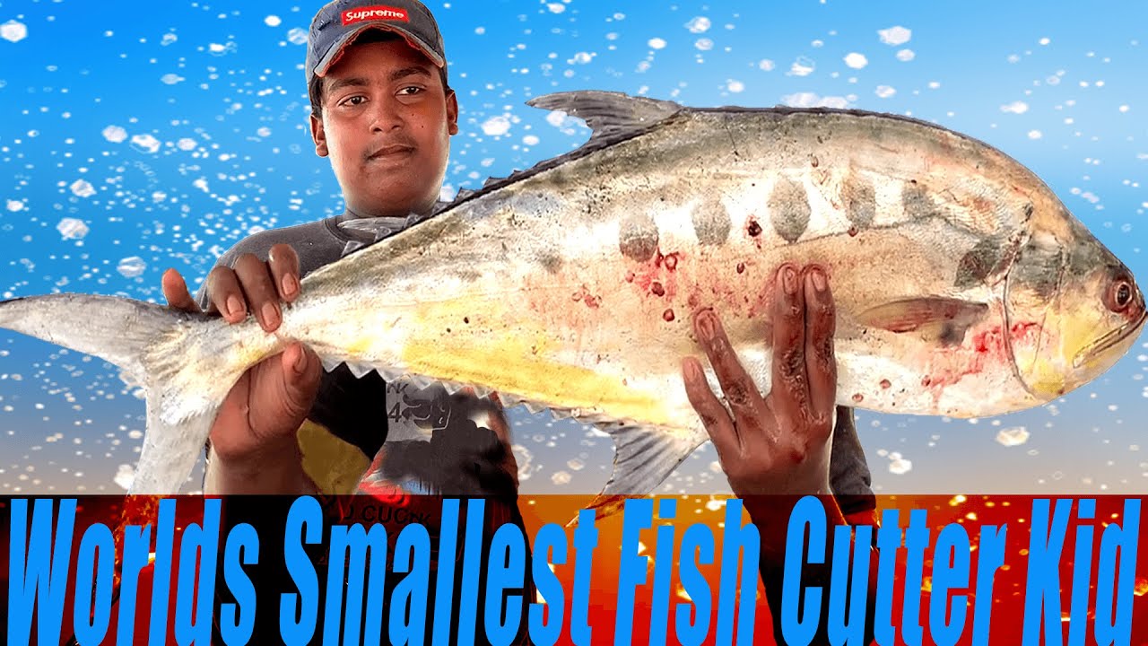 Yellow Trevally Fish cutting by small kid - YouTube