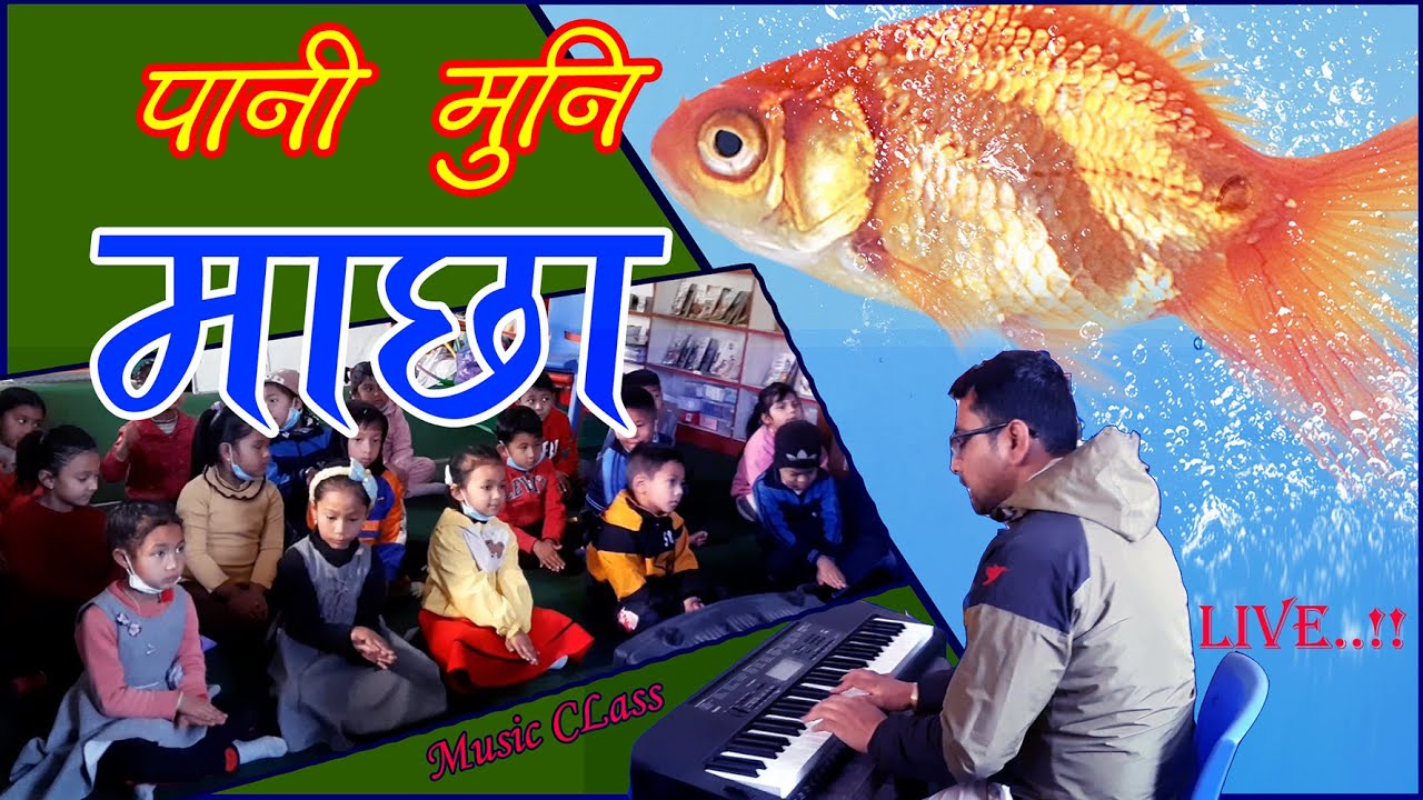 Pani Muni Machha | Nepali Pre-School Rhymes | Live Class.. Swapna ...