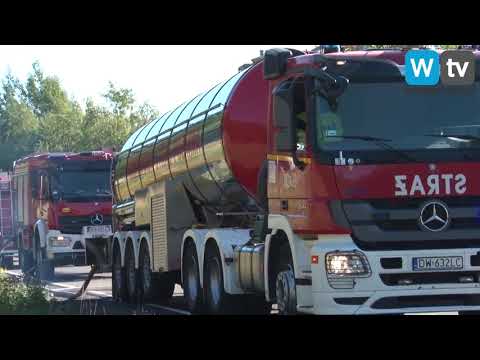 Telewizja Wałbrzych - Dogaszają pożar lasu