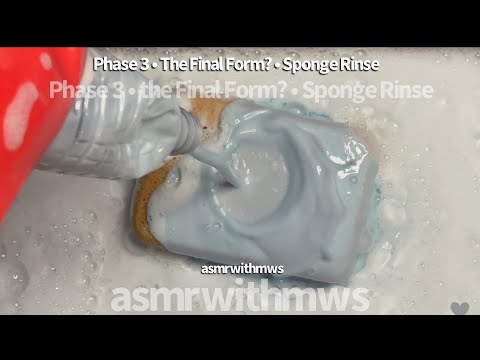 Phase 3, the Final Form? 🫧 Sponge Fabric Soft Rinse | asmrwithmws 🤤🤤🤤 ...