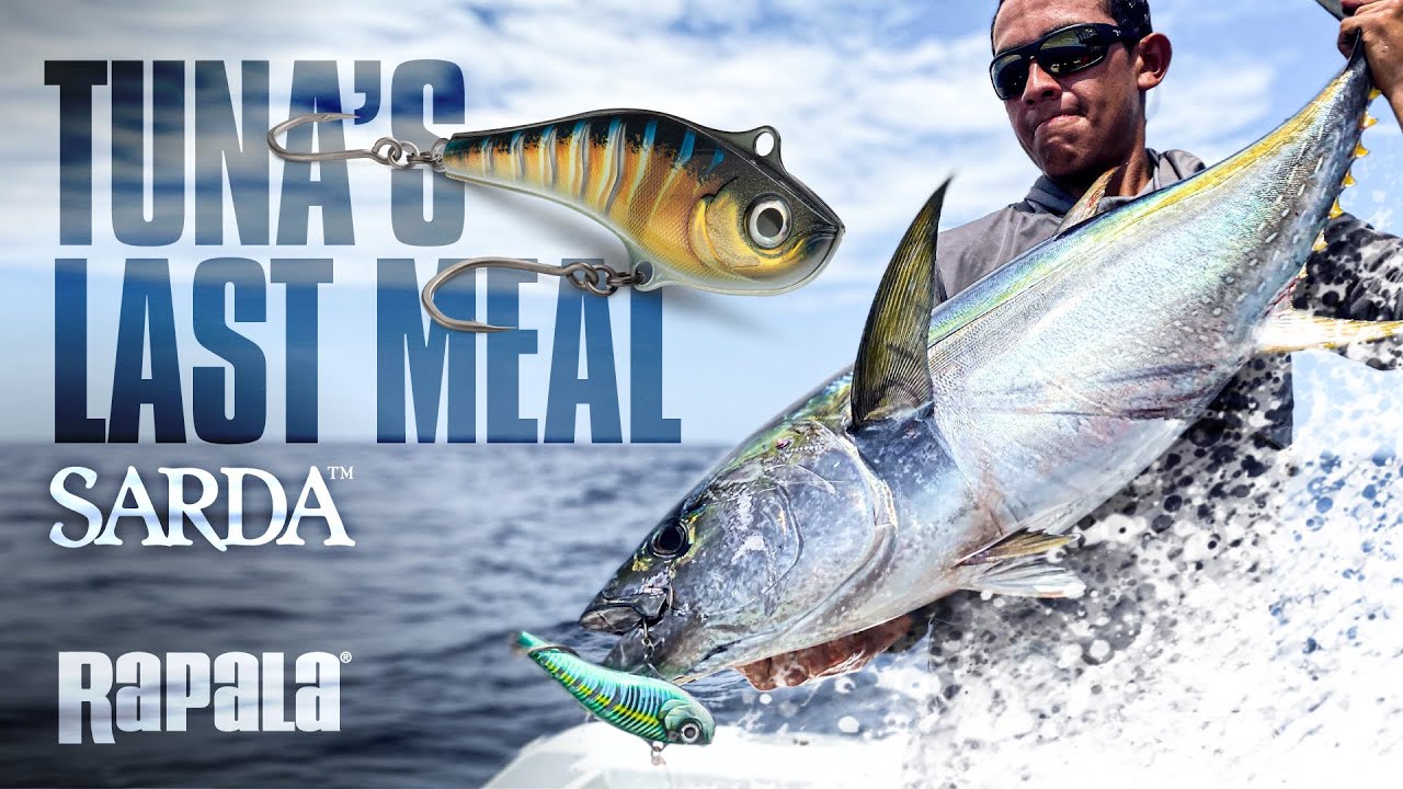 Rapala® | NEW Sarda™ - YouTube