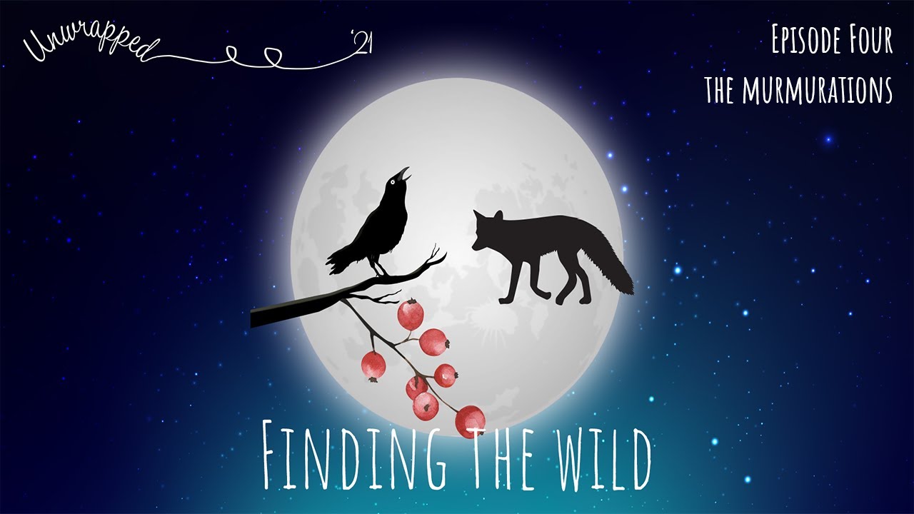 Finding the Wild Episode Four - The Murmurations - YouTube